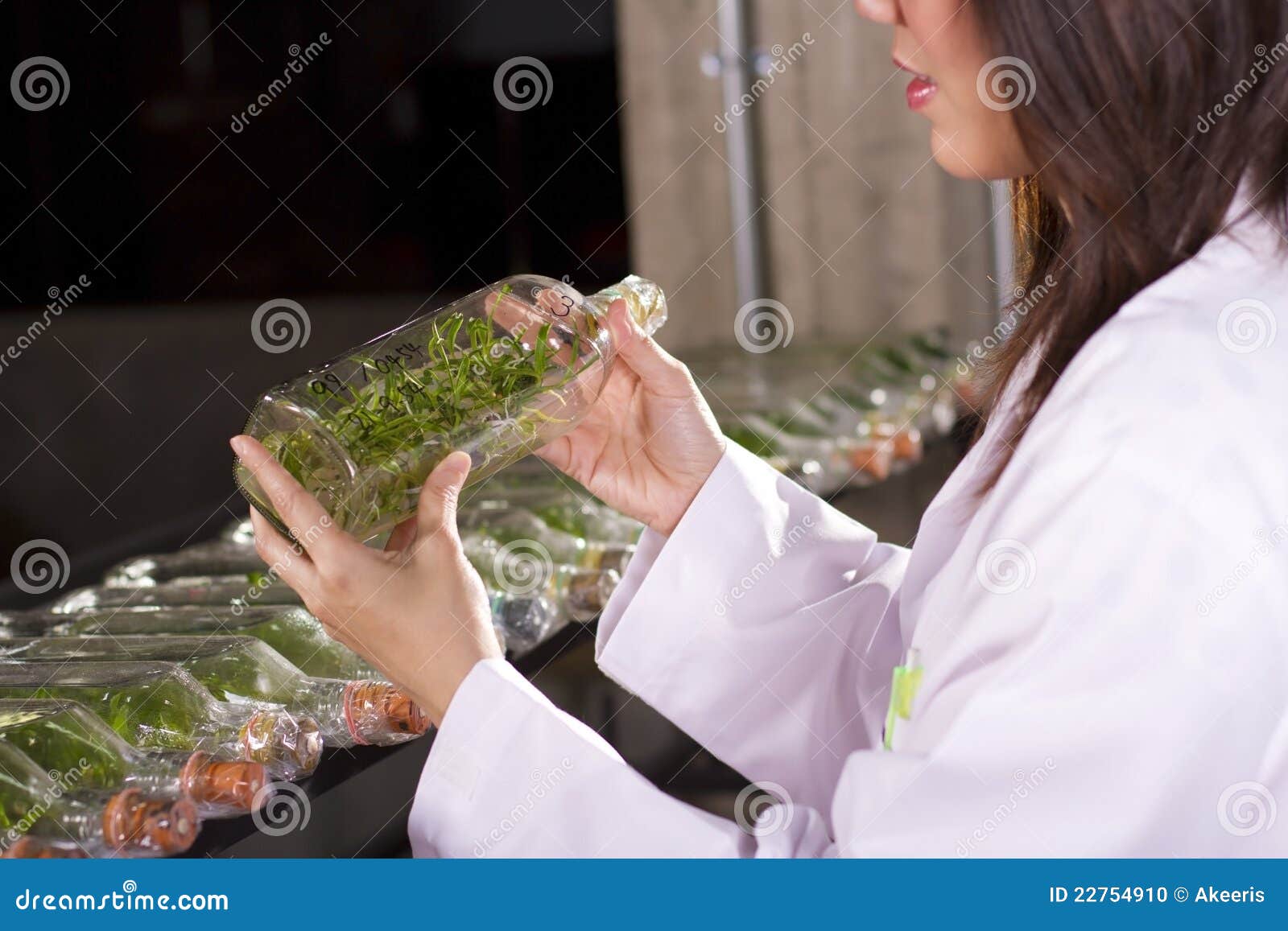 Checking plant stock photo. Image of gown, education - 22754910