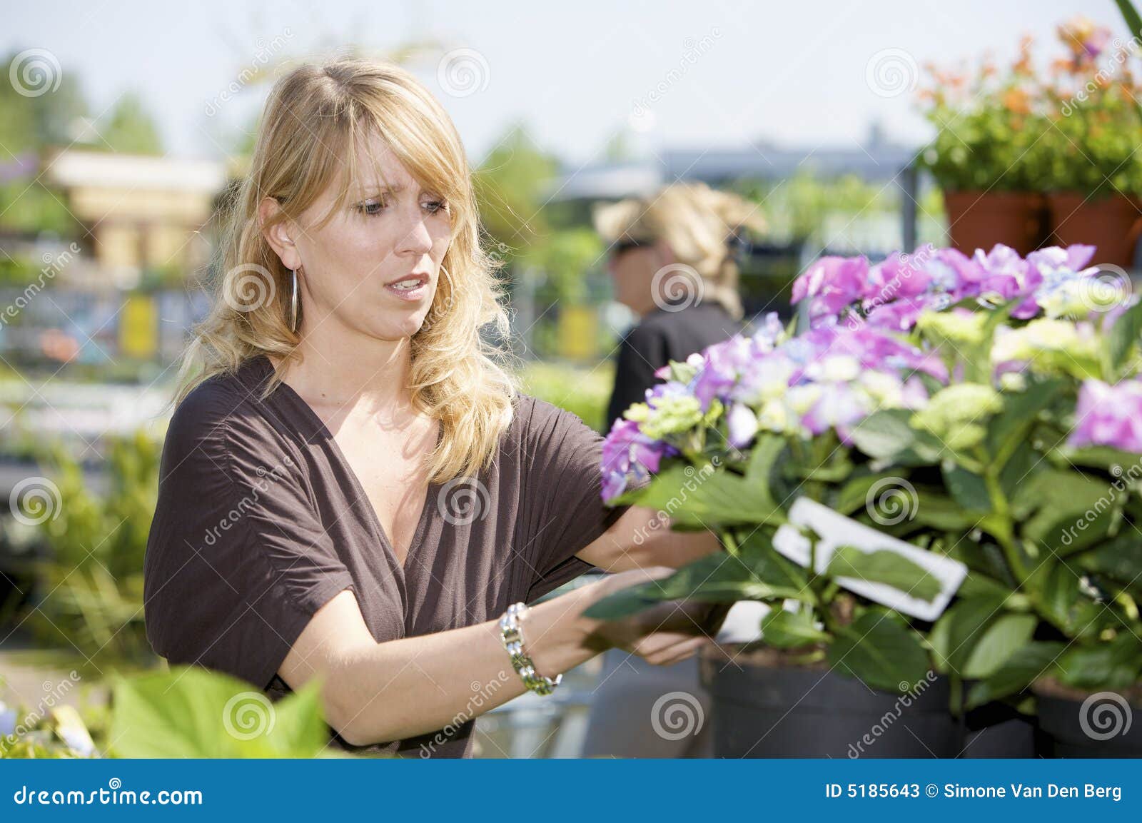Checking the price stock image. Image of women, sunshine - 5185643