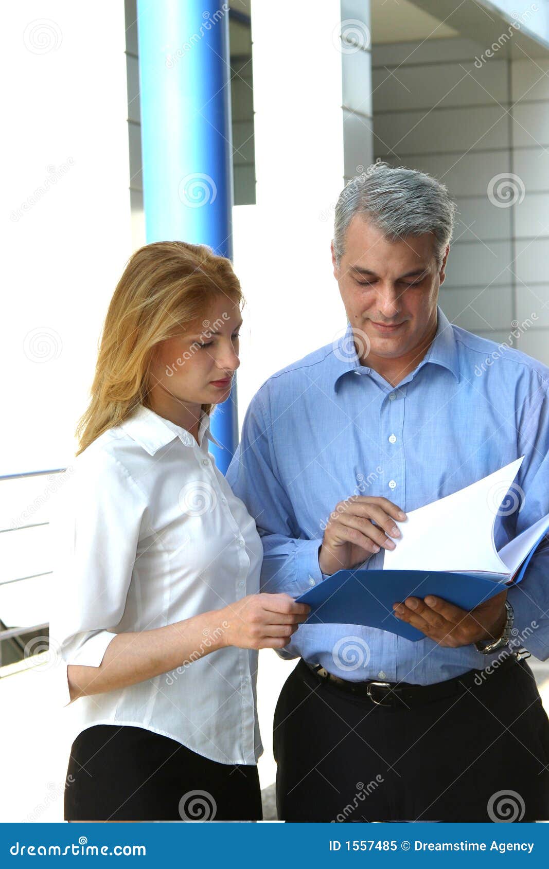 Checking the report. stock image. Image of colleagues - 1557485