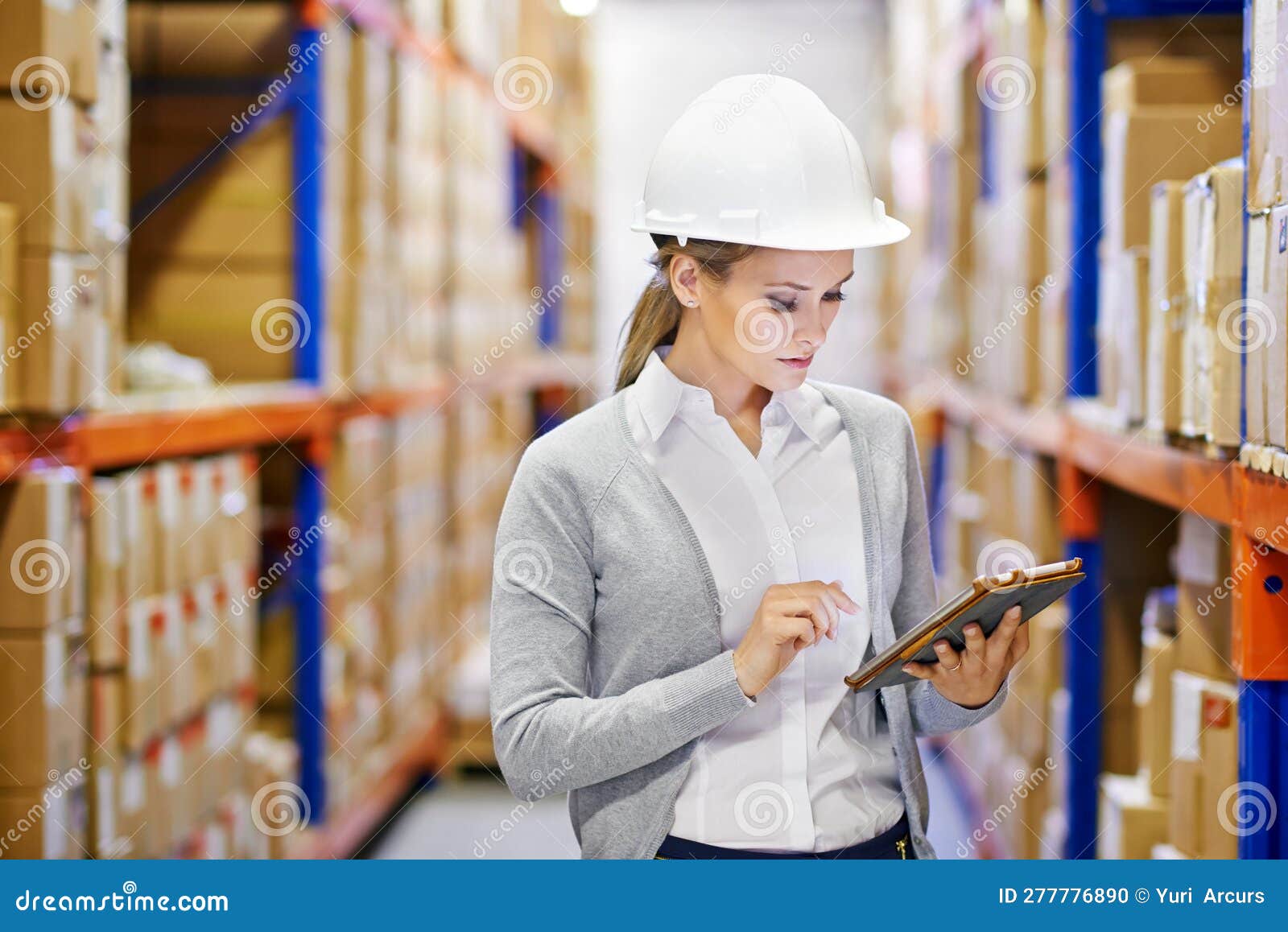 Checking the Shipments Status. a Woman at Work in a Storage Warehouse ...