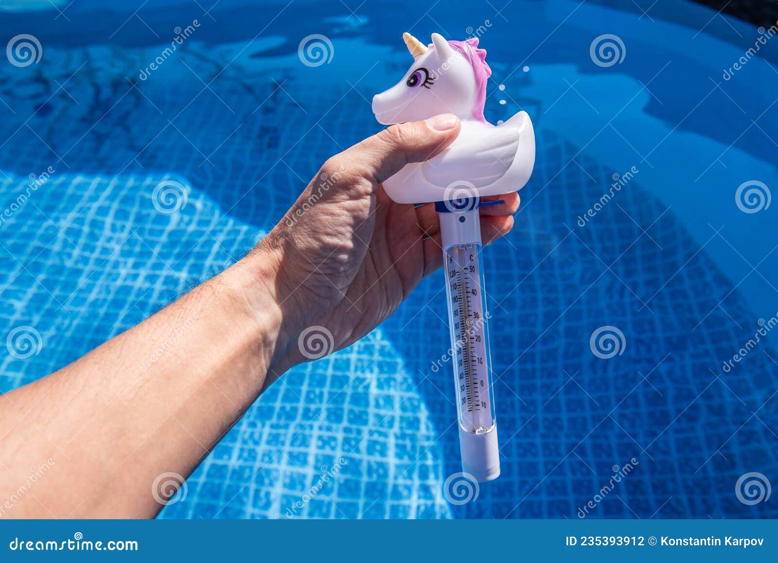 Checking the Temperature of the Swimming Pool Water with a Funny ...