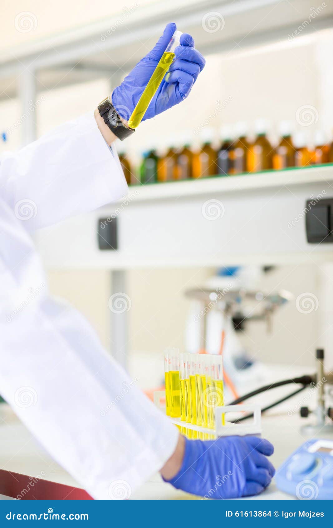 Checking test tube stock photo. Image of molecular, assistant - 61613864