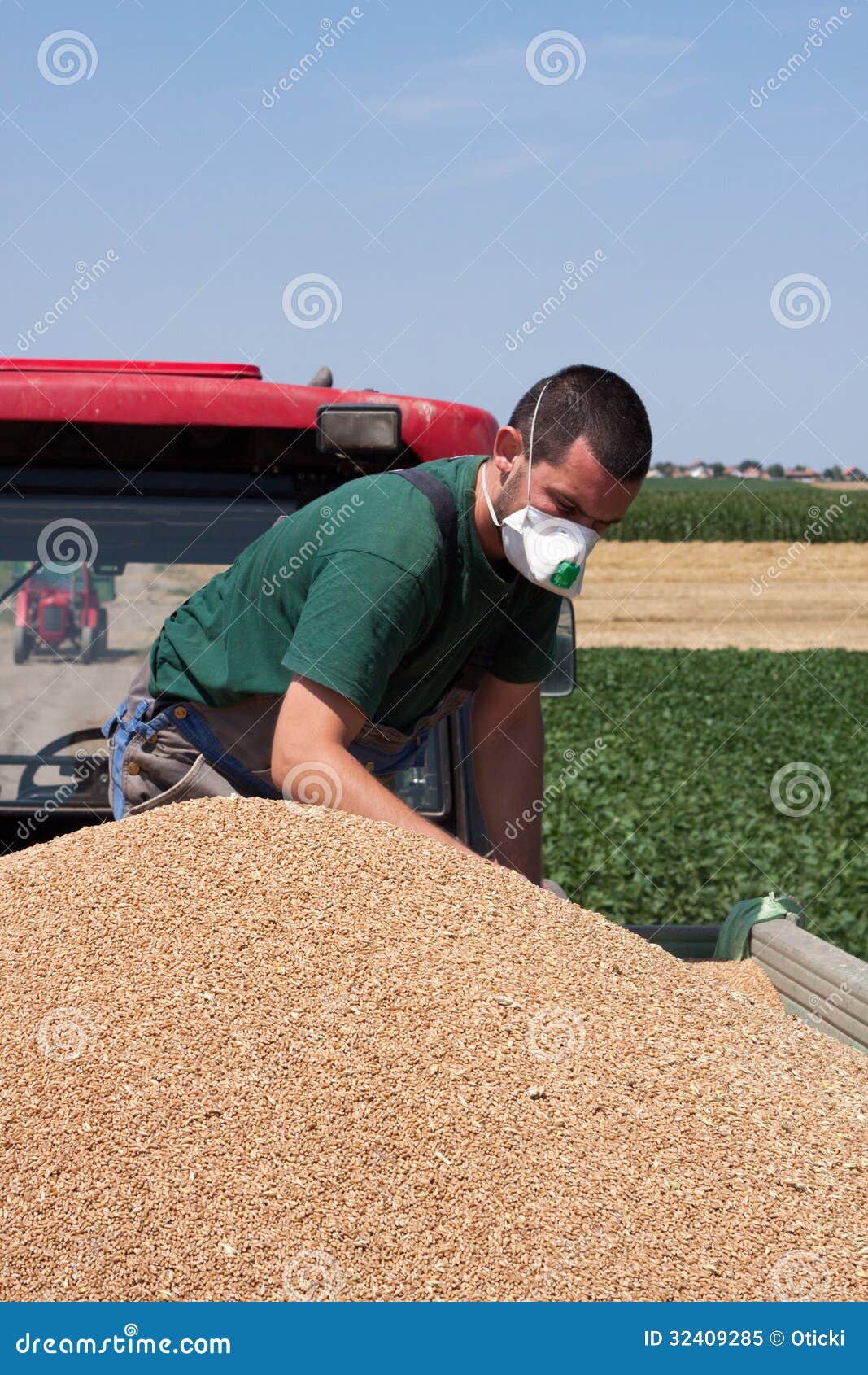 Checking Unloaded Wheat stock image. Image of combine - 32409285