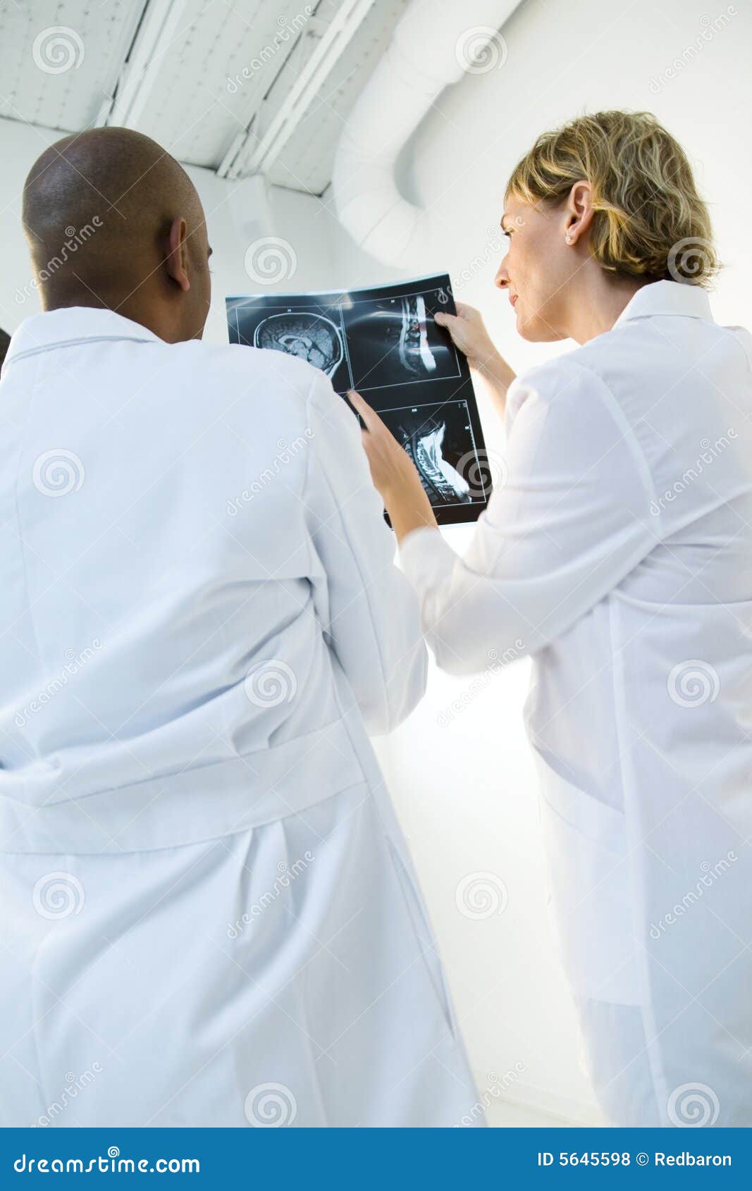 Checking Xray Report stock photo. Image of study, bald - 5645598