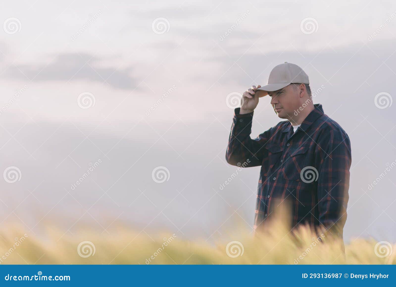 Checking the Yield of Grain Crops at Sunset. Man Conducts Experiments ...