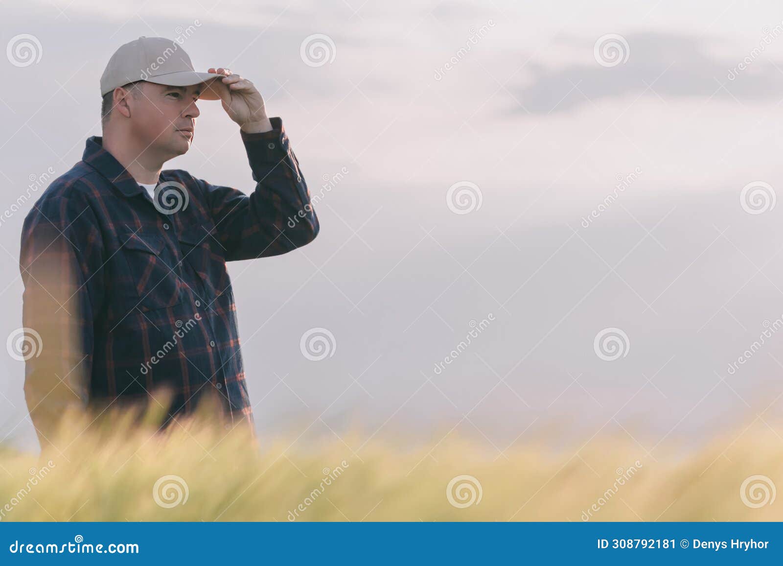 Checking the Yield of Grain Crops at Sunset. Man Conducts Experiments ...