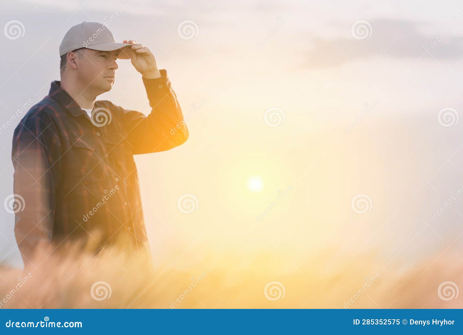 Checking the Yield of Grain Crops at Sunset. Man Conducts Experiments ...
