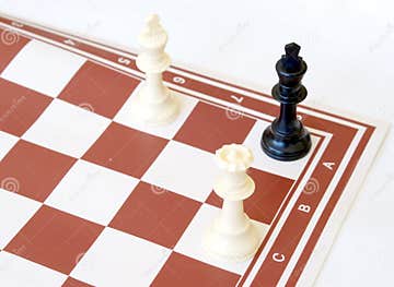 Checkmate stock image. Image of close, solution, champion - 948433