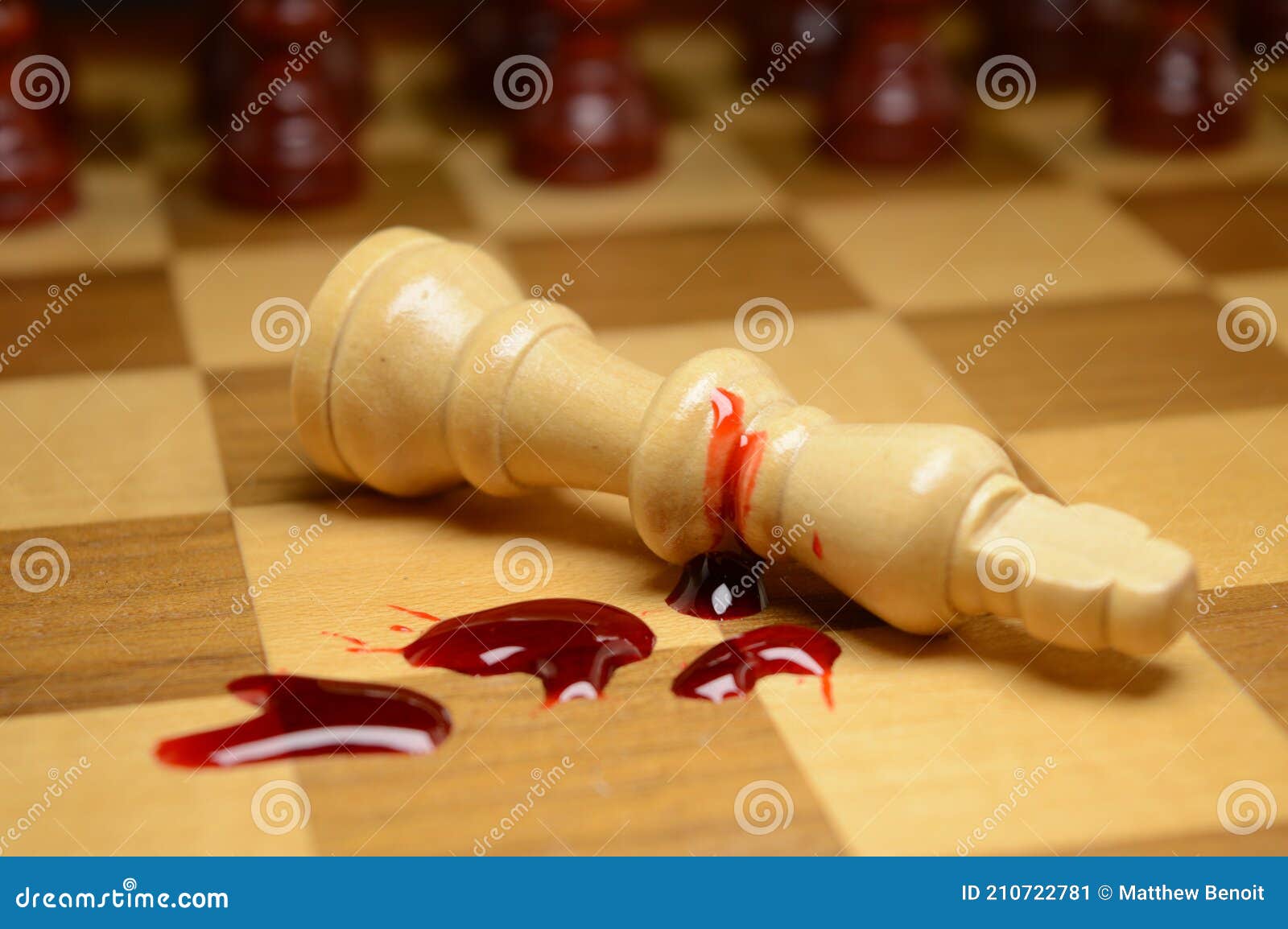 Checkmate Dead King stock image. Image of leadership - 210722781