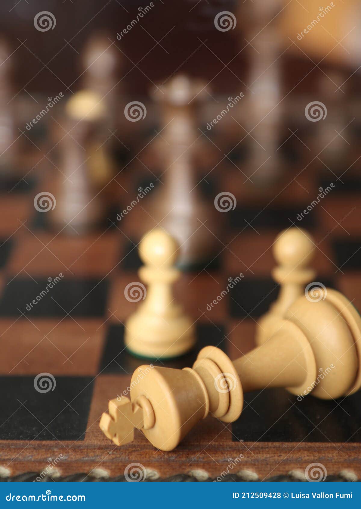 Checkmate the white king stock photo. Image of pawn - 212509428