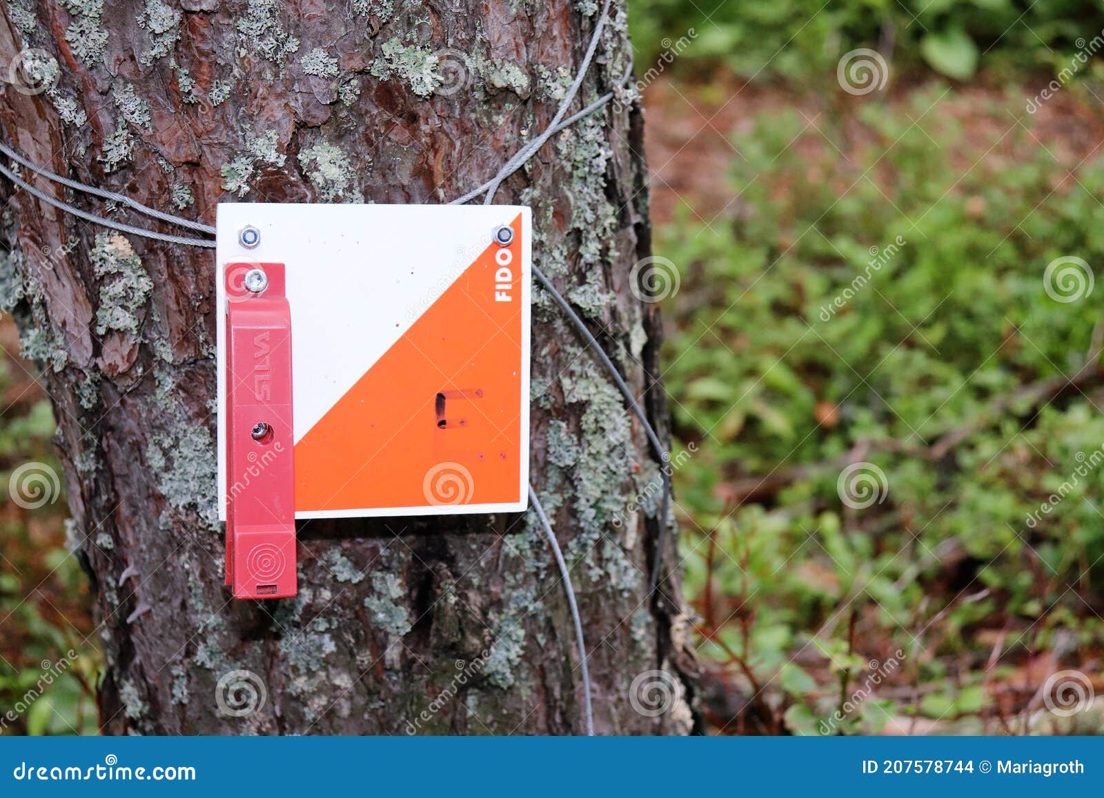 Checkpoint for Orientation in the Forest Editorial Stock Image - Image ...