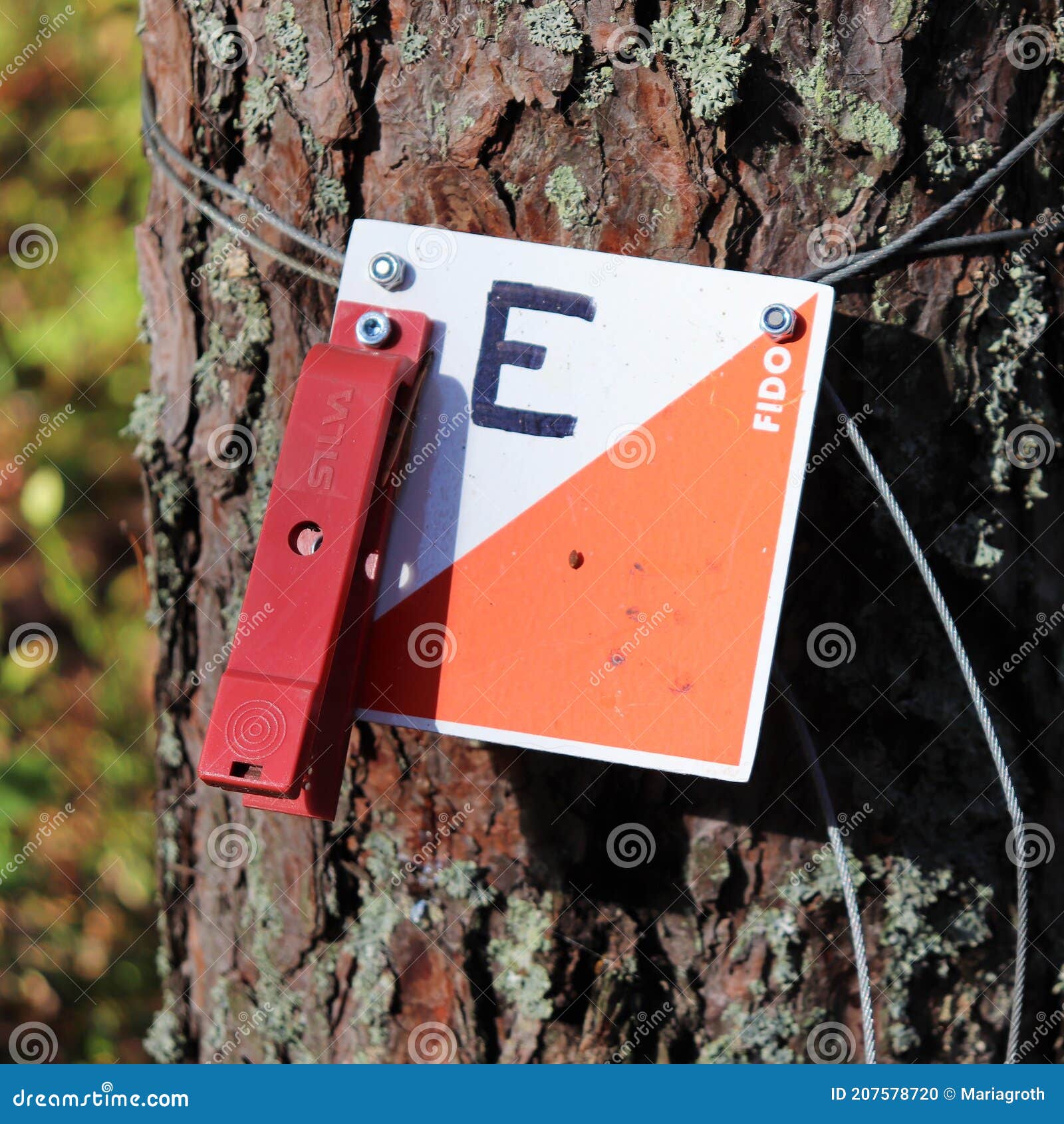 Checkpoint for Orientation in the Forest Editorial Image - Image of ...