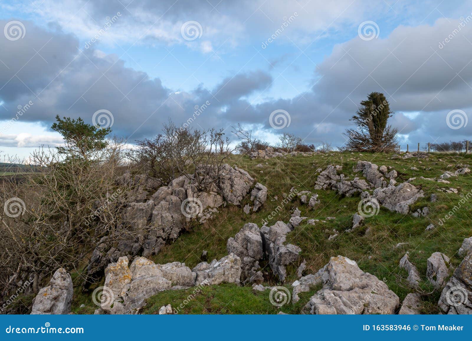 Cheddar Gorge stock photo. Image of location, scene - 163583946