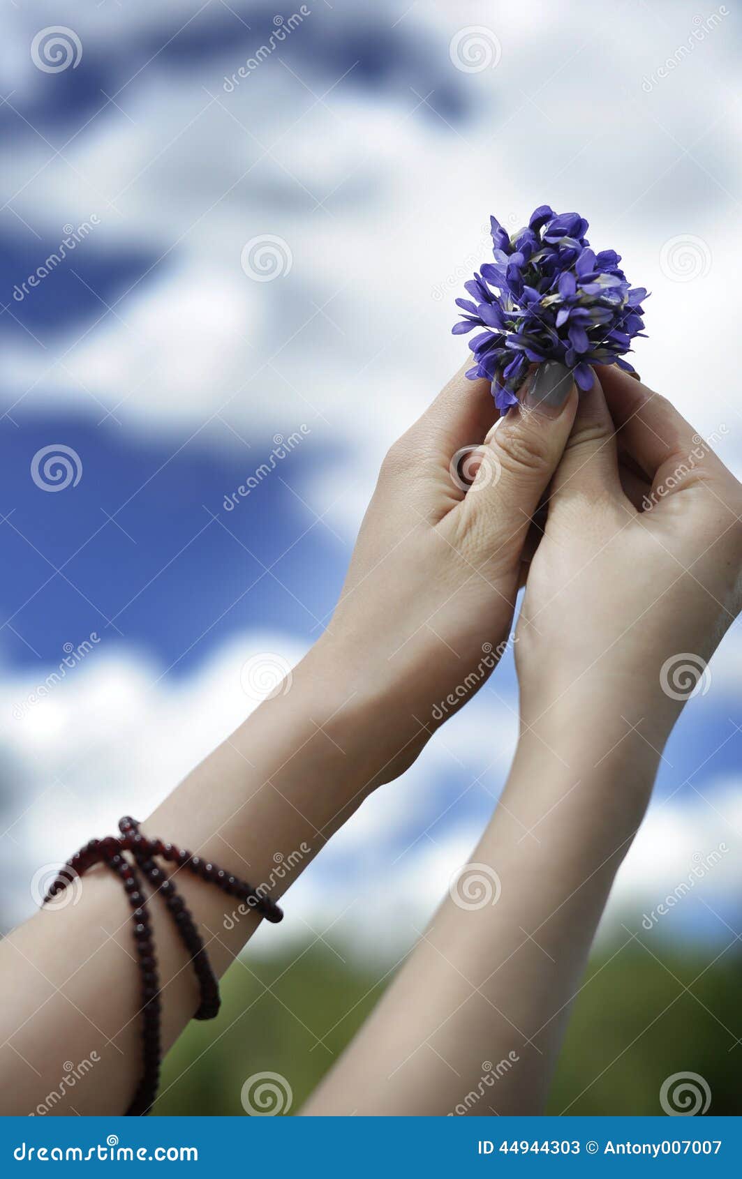 Cheer stock image. Image of takeoff, flower, hands, cheer - 44944303
