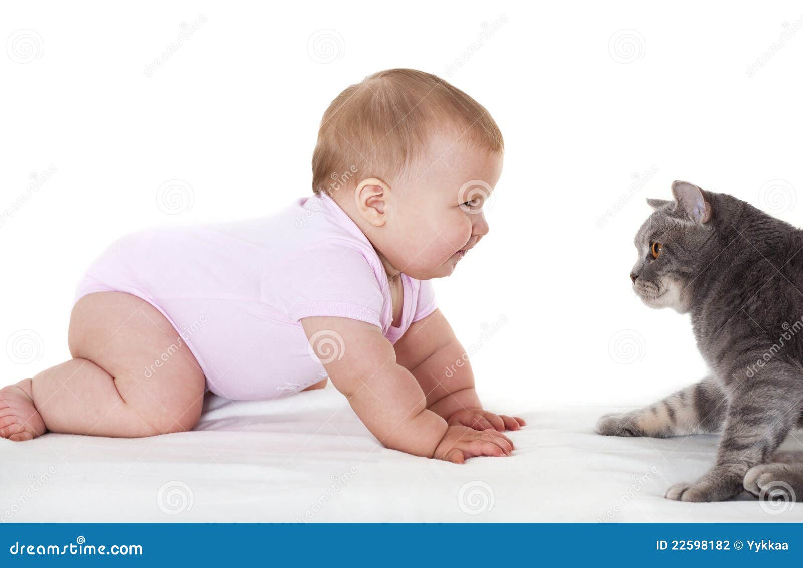 Cheerful babe with cat. stock photo. Image of pleasure - 22598182