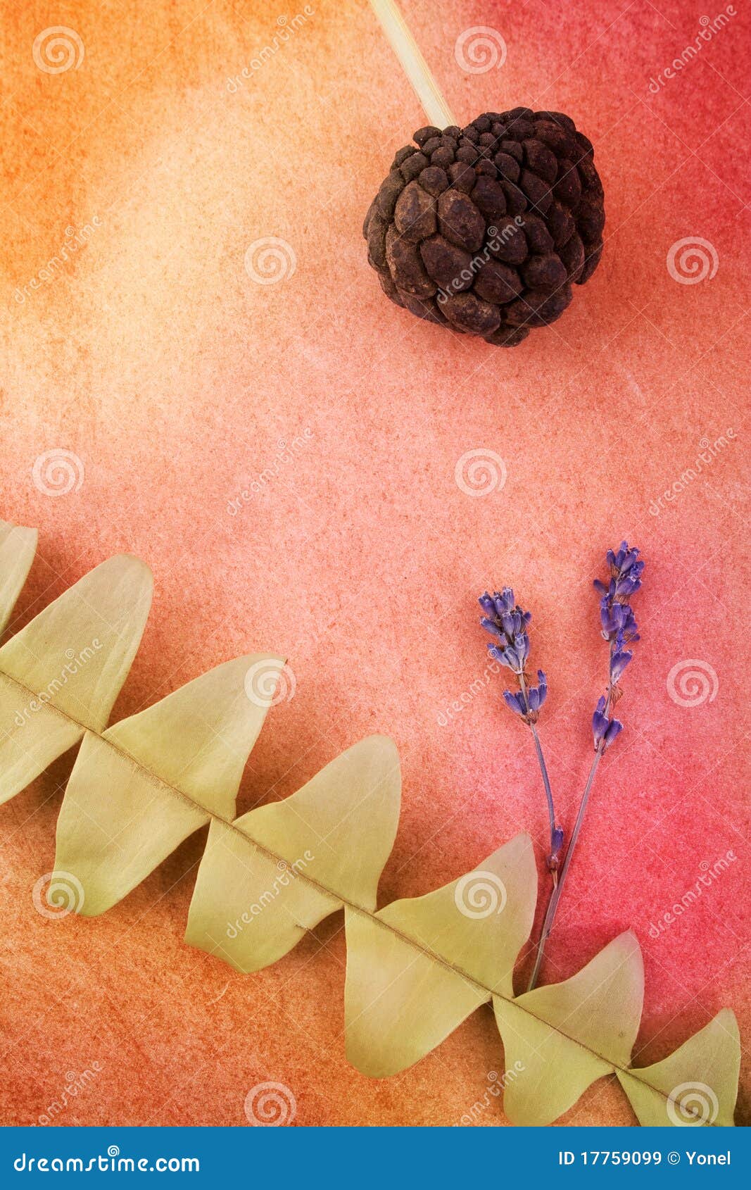 Cheerful background stock illustration. Illustration of book - 17759099