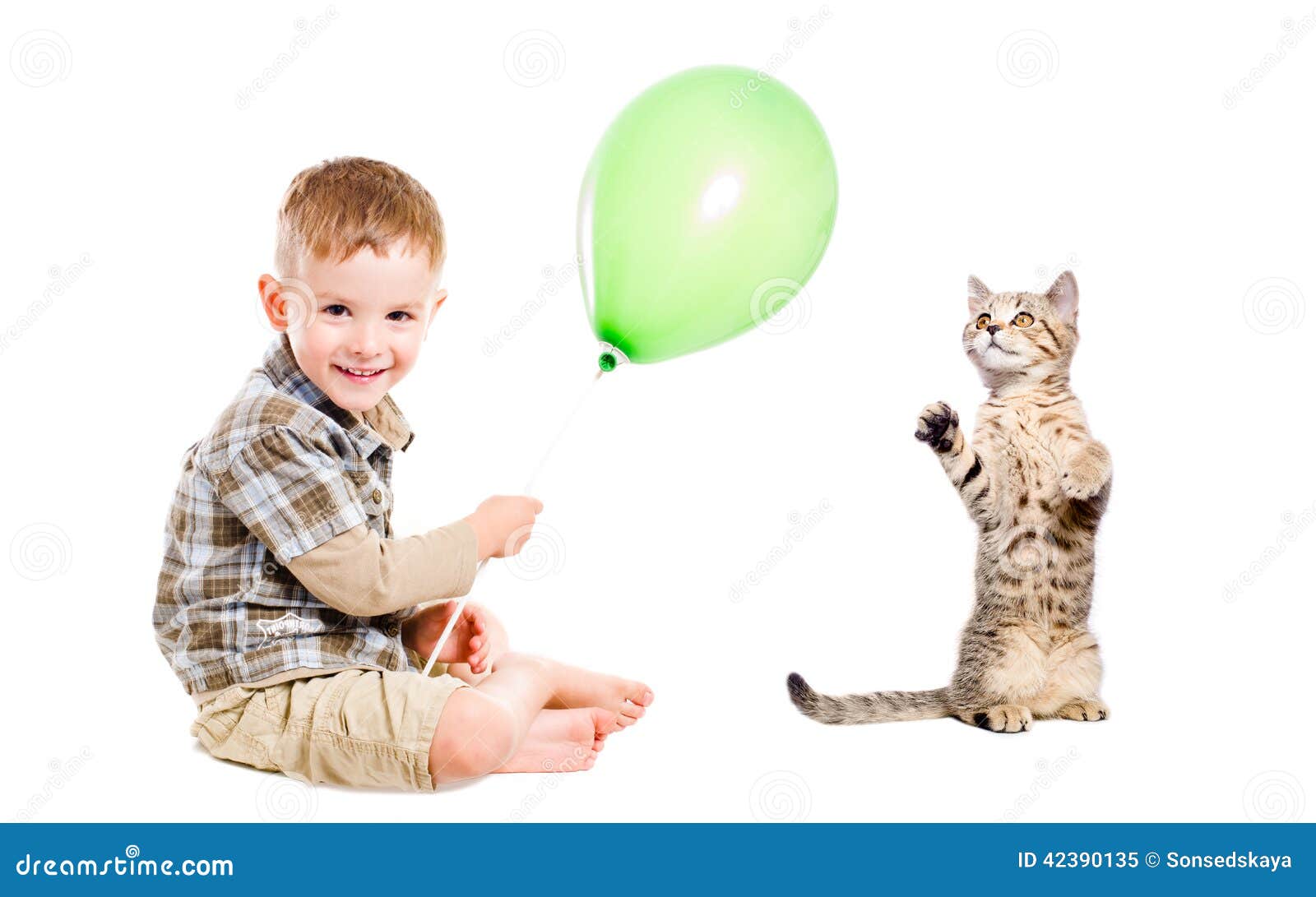 Cheerful boy and cat stock image. Image of animals, adorable - 42390135