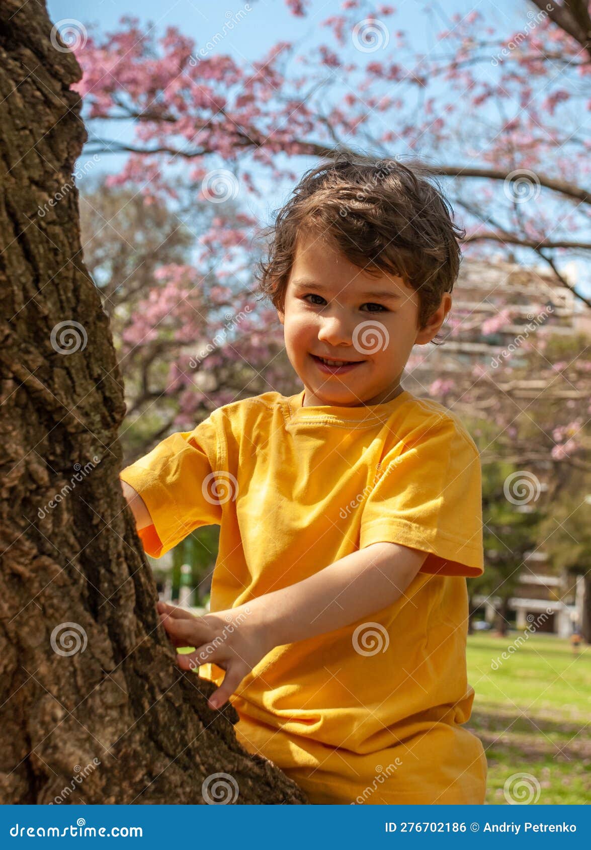 Cheerful Boy Sitting on a Tree in the Park Stock Photo - Image of rural ...