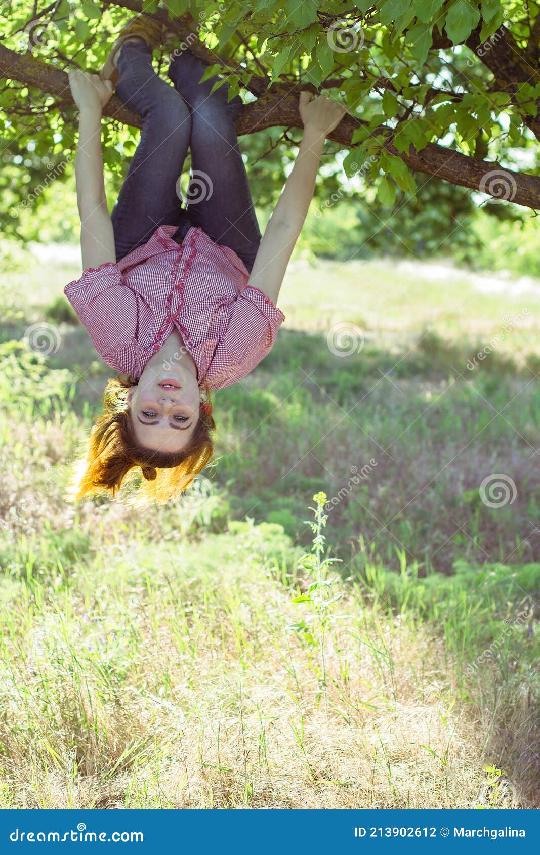 Hanging Upside Down From A Tree