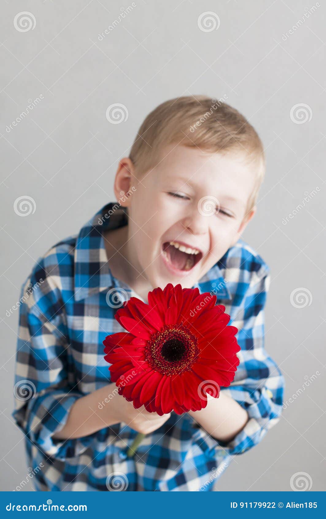 Cheerful Little Boy with Flower Stock Photo - Image of pupil, delivery ...