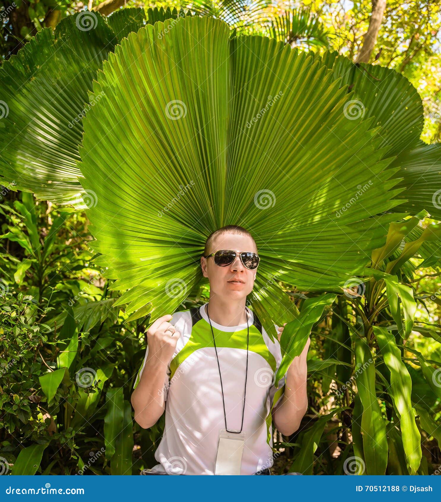 Cheerful Man with Palm Trees Stock Photo - Image of posing, male: 70512188