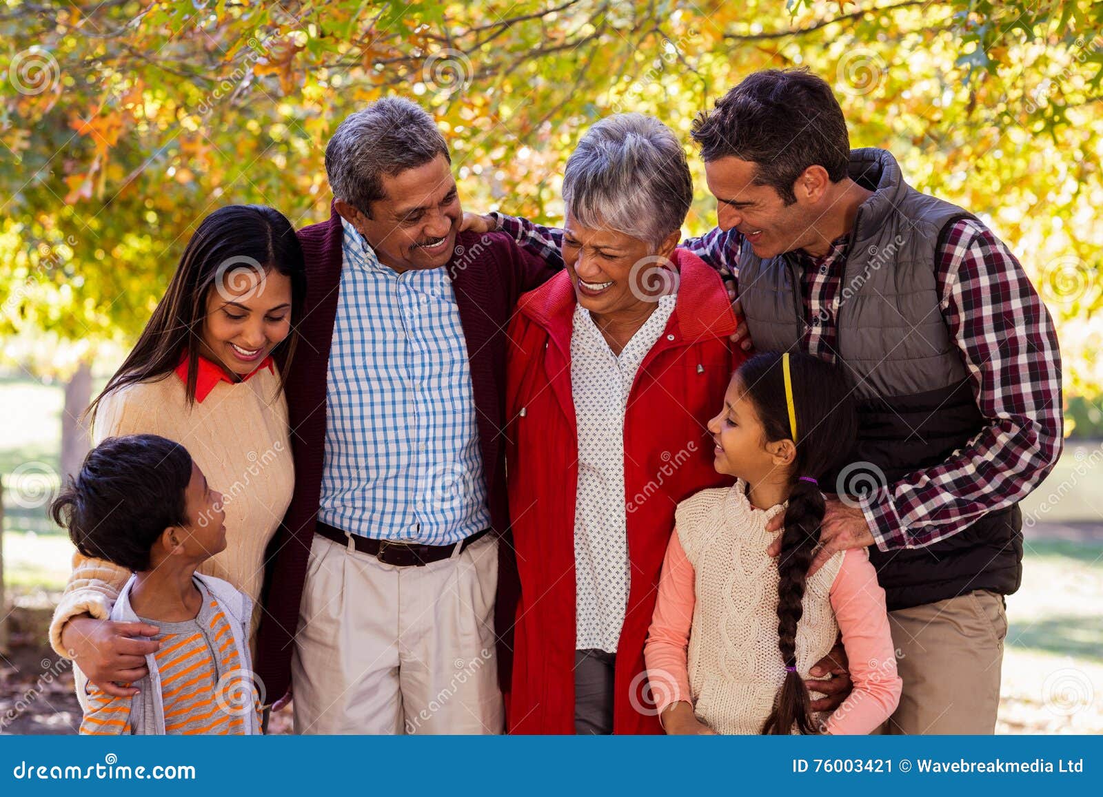 Cheerful Multi-generation Family Standing at Park Stock Image - Image ...