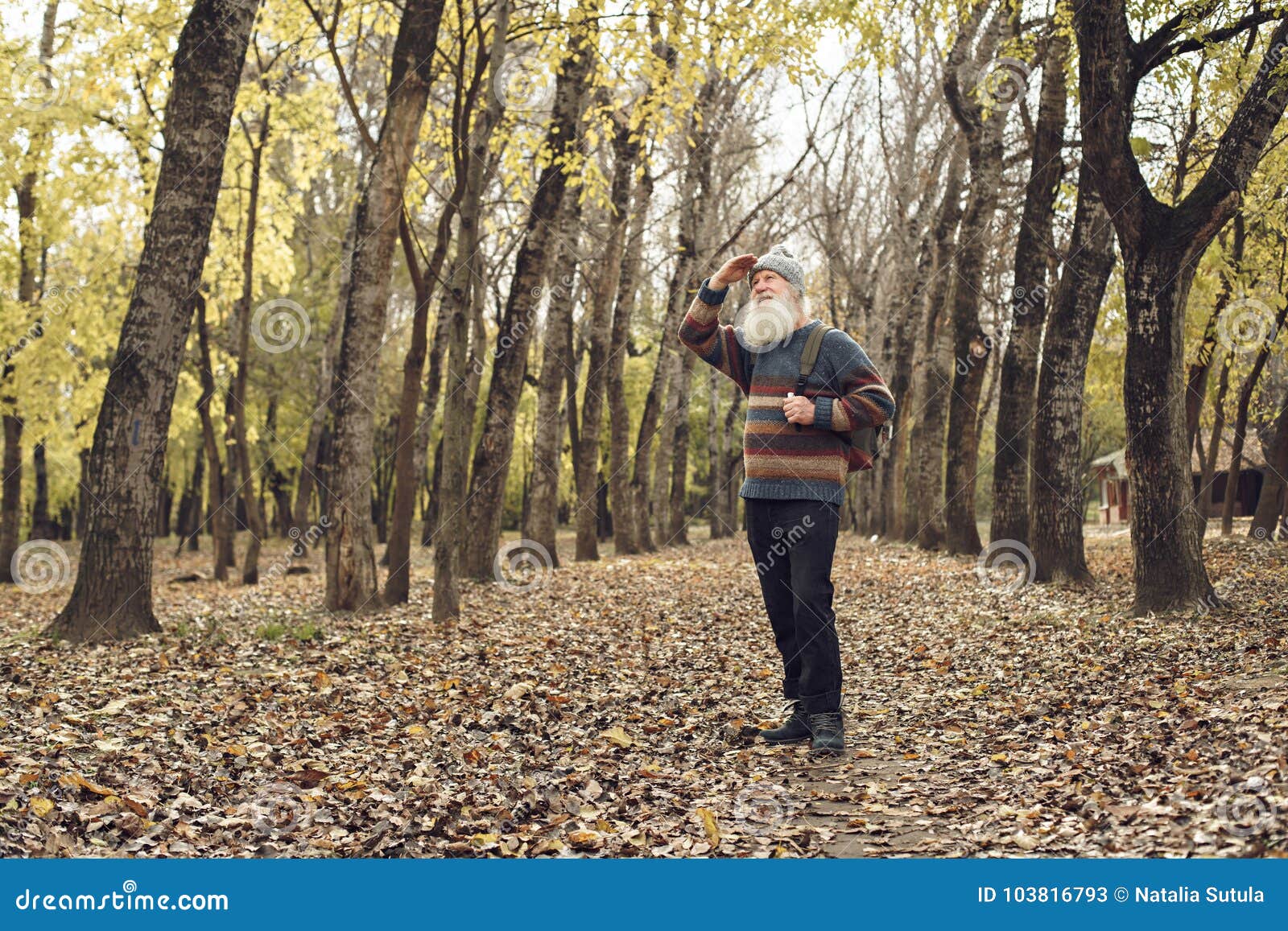 Old Man with Beard in Forest Stock Image - Image of backpack, elderly ...