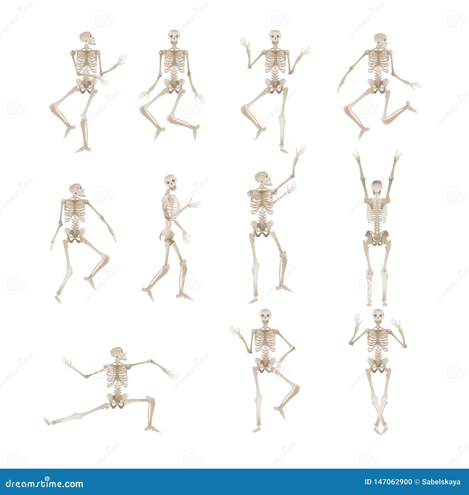 Cheerful Skeleton in Different Poses Dancing and Jumping Halloween ...