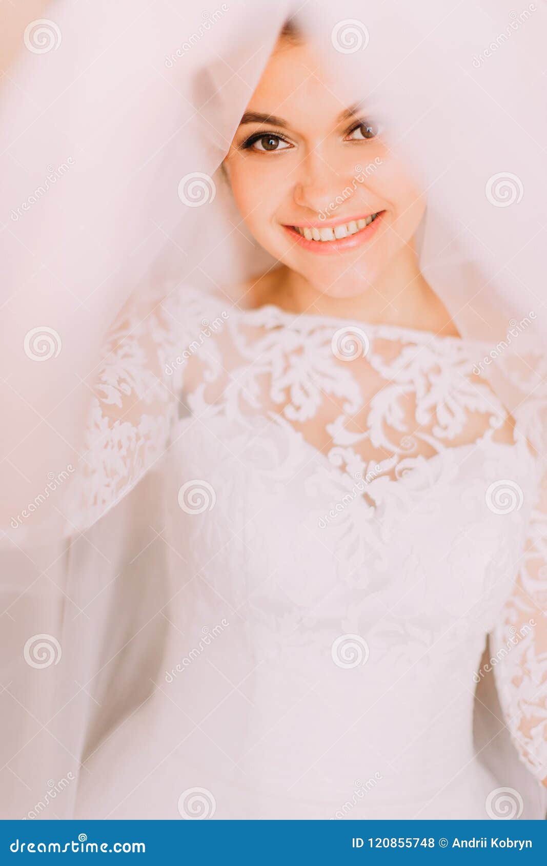 The Cheerful Smile of the Beautiful Bride Raising the Veil. Stock Photo ...