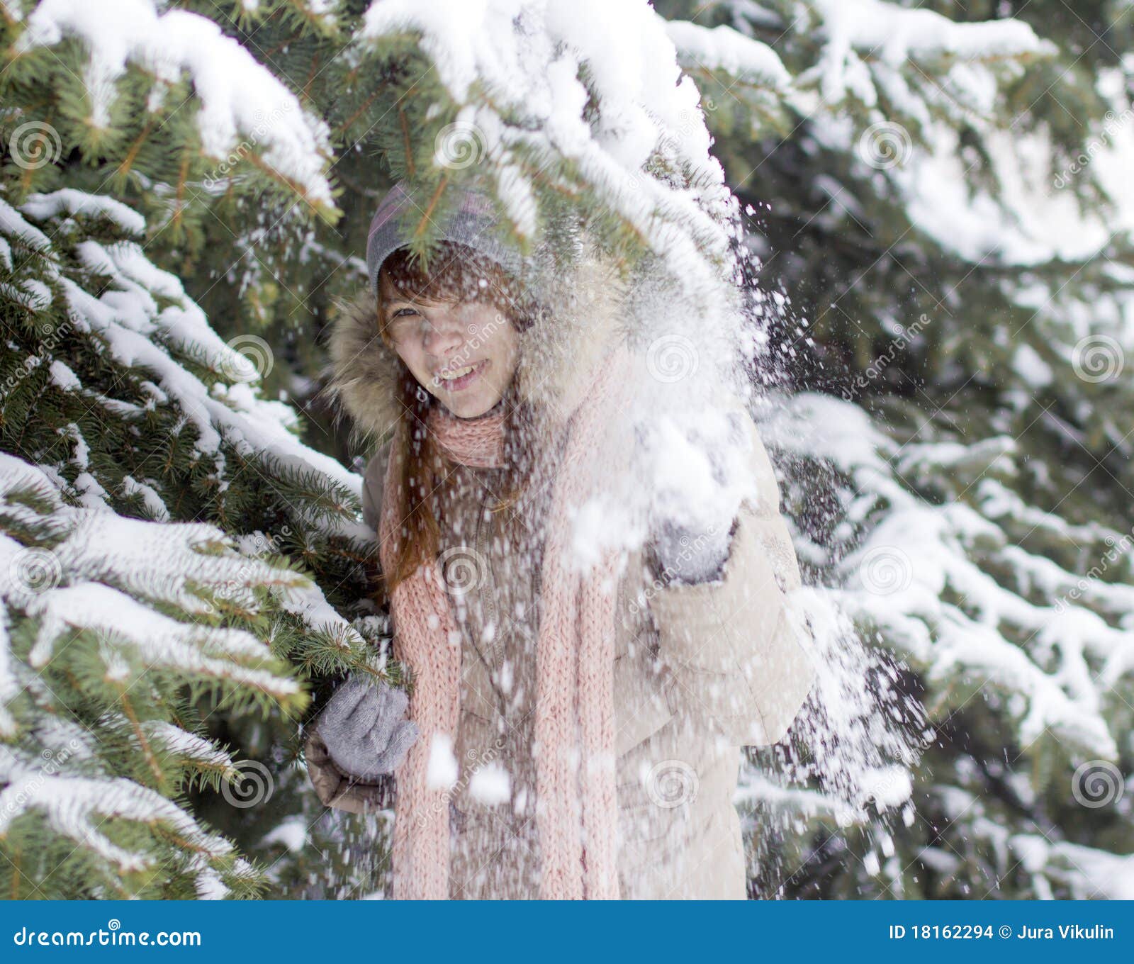 Cheerful snow stock photo. Image of snowing, white, spruce - 18162294