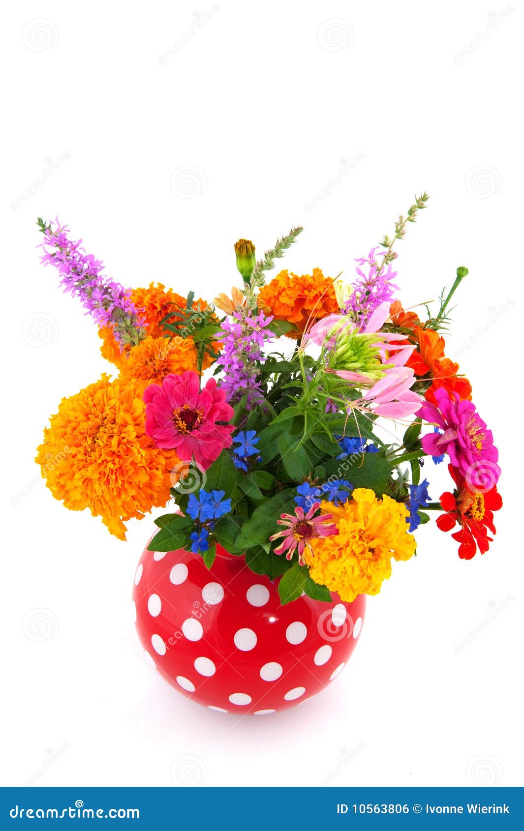 Cheerful summer bouquet stock photo. Image of cheerful - 10563806