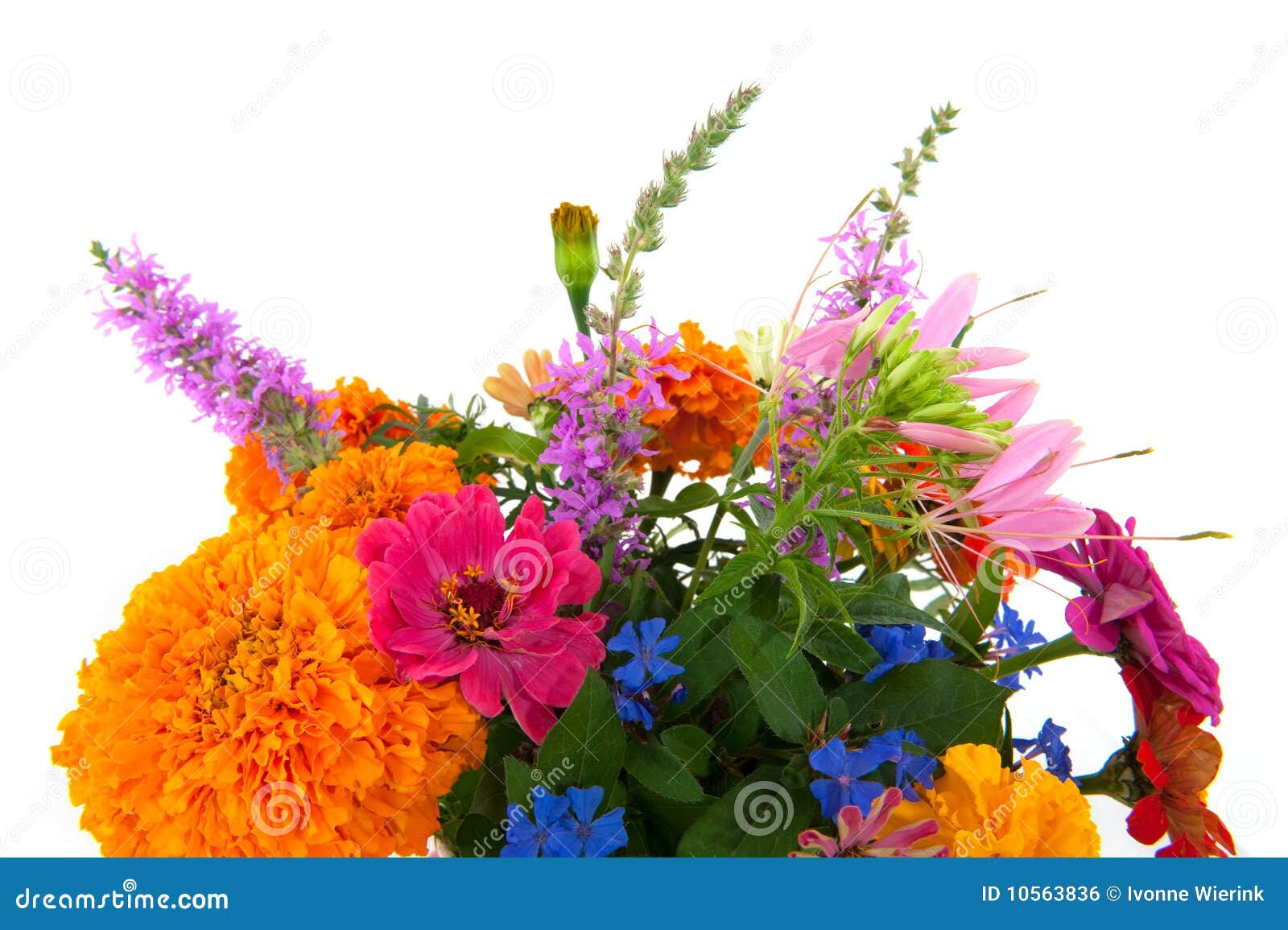 Cheerful summer bouquet stock photo. Image of colorful - 10563836