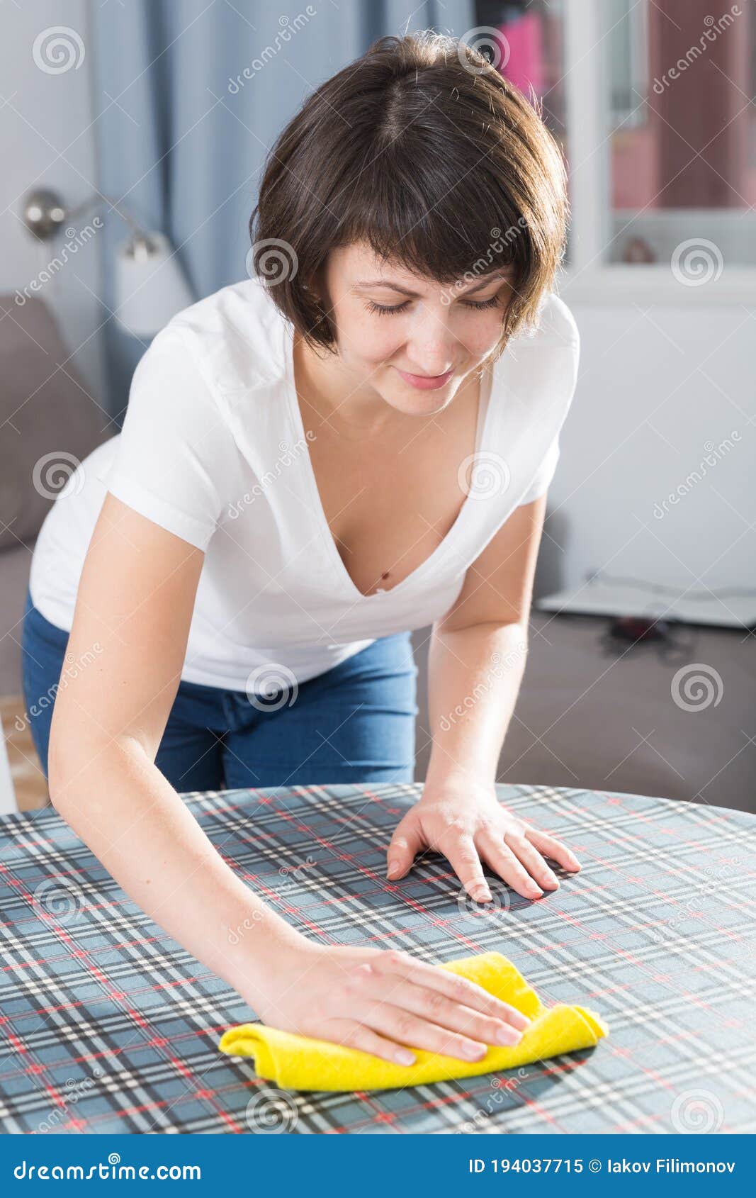 Cheerful Woman Doing Housework Stock Image - Image of kitchen, banal ...