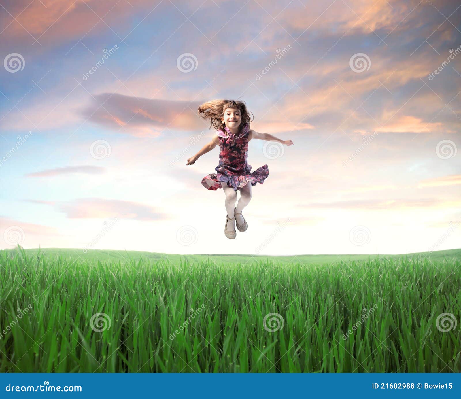 Cheerfulness foto de archivo. Imagen de prado, pelo, blanco - 21602988