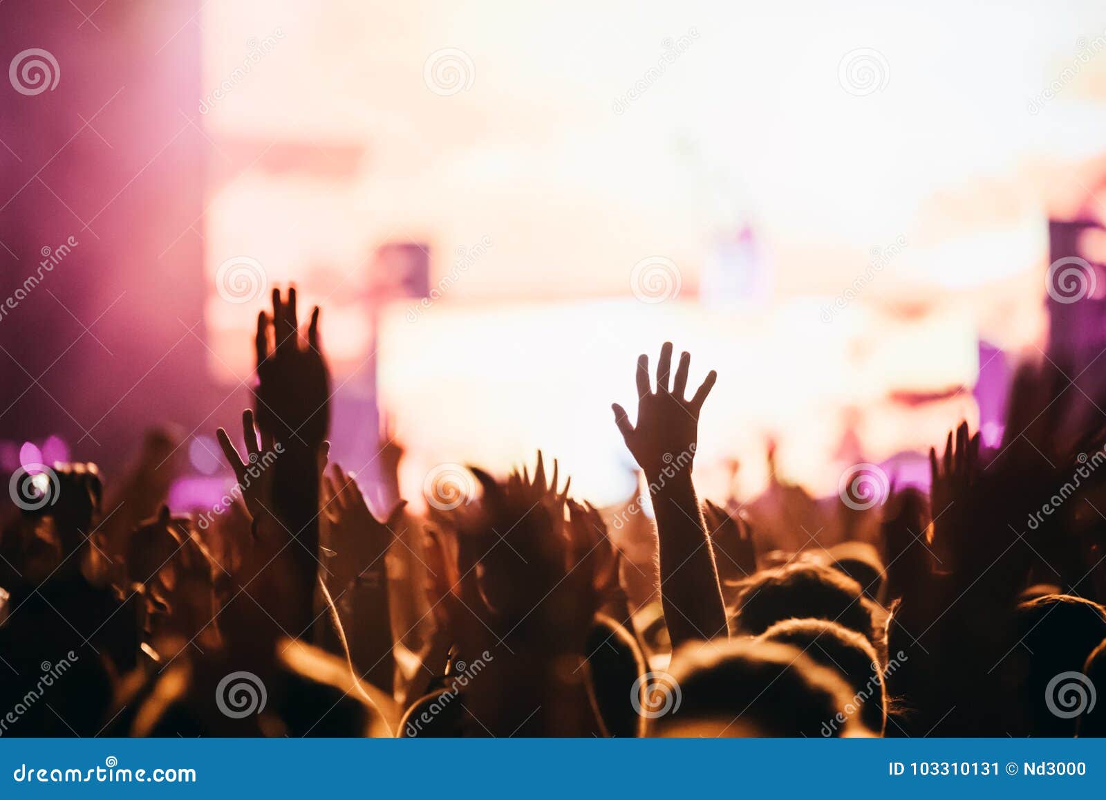Cheering Crowd at Concert Enjoying Music Performance Stock Image ...