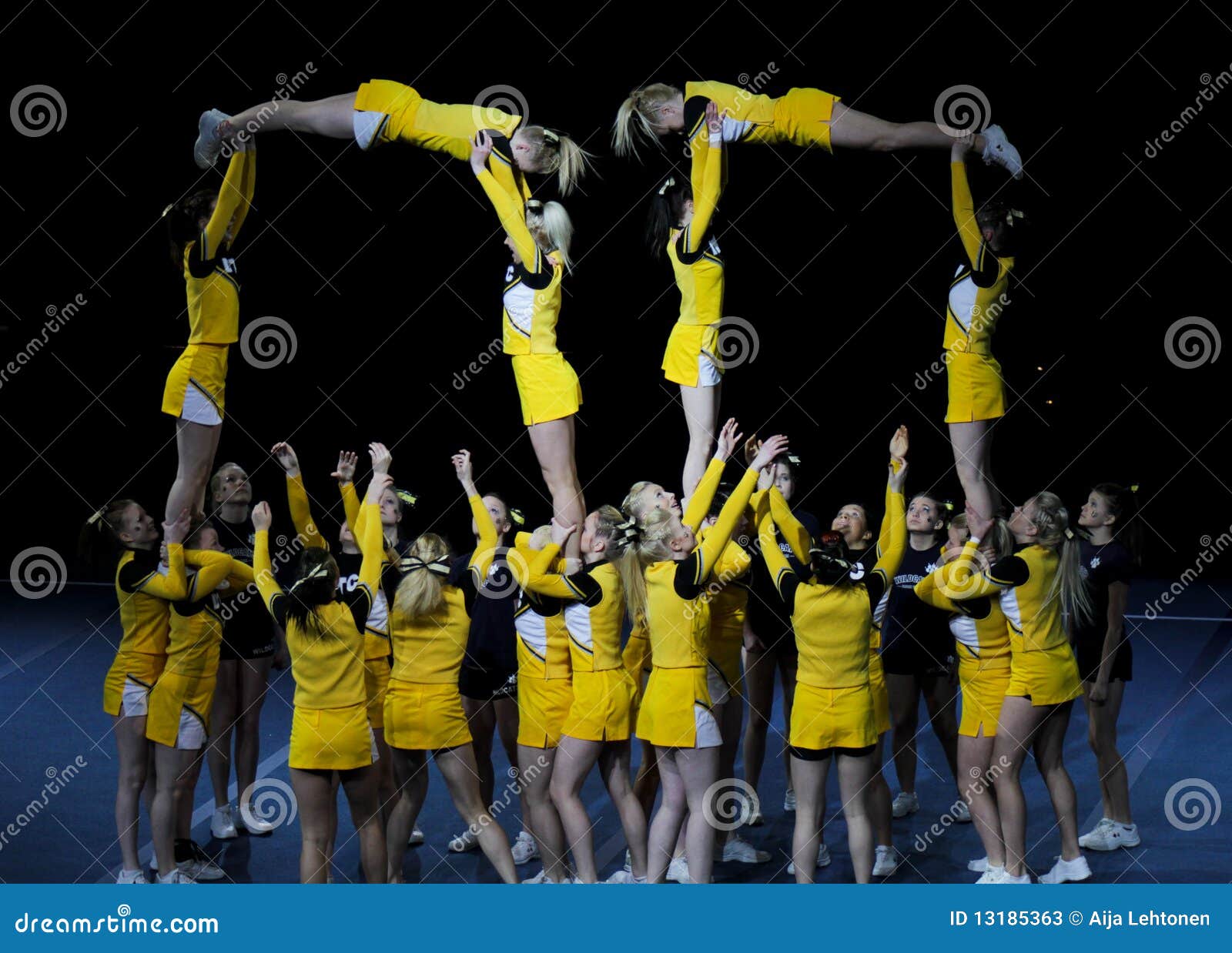Cheerleading Dog Royalty-Free Stock Photography | CartoonDealer.com ...