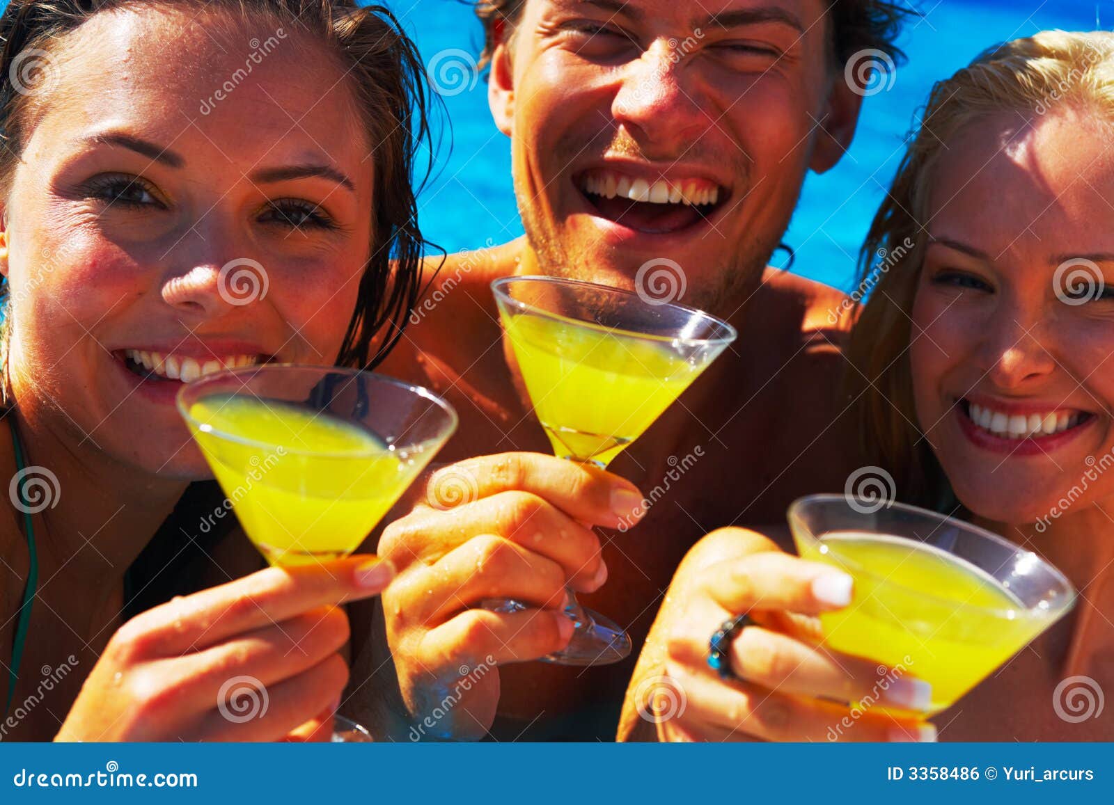 Cheers! stock photo. Image of party, laughing, happy, caucasian - 3358486