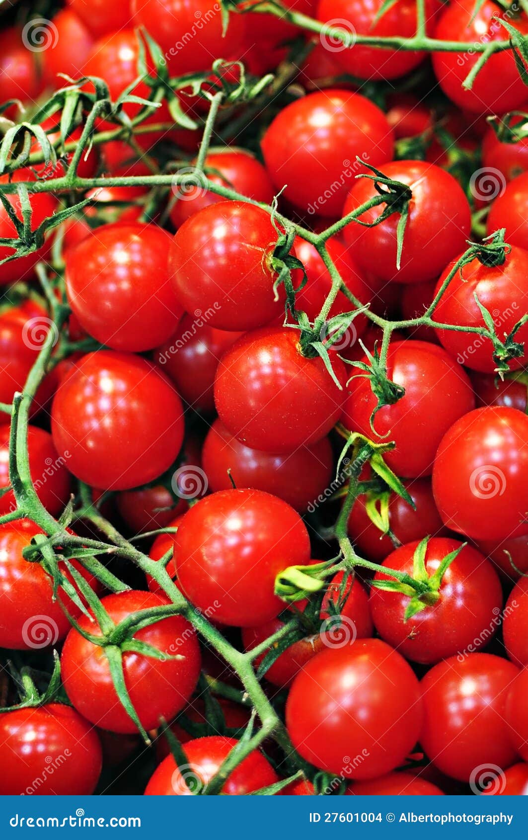 Cheery tomatoes stock photo. Image of macro, organic - 27601004