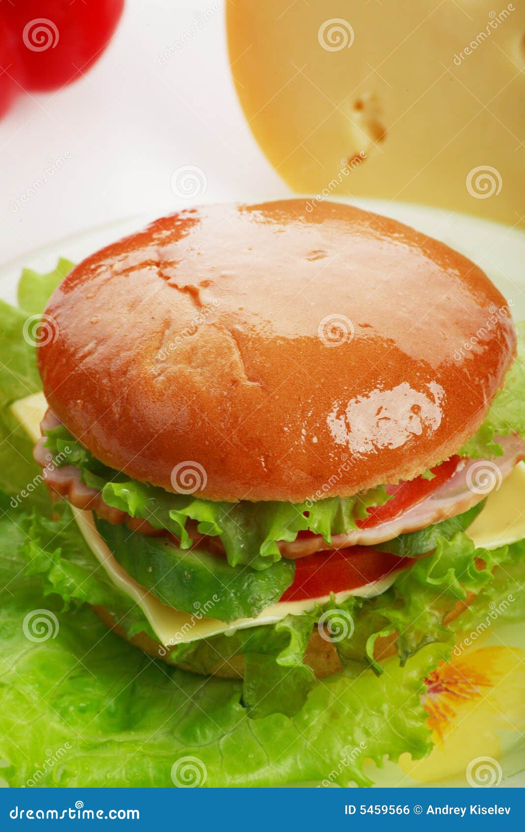 Cheesburger stock photo. Image of cheeseburger, fresh - 5459566