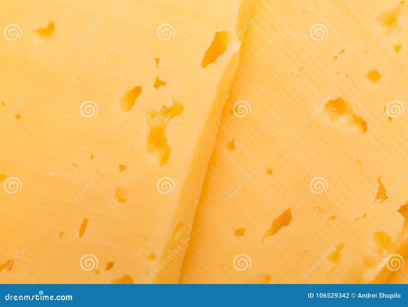 Cheese As Background. Macro Stock Photo - Image of texture, white ...