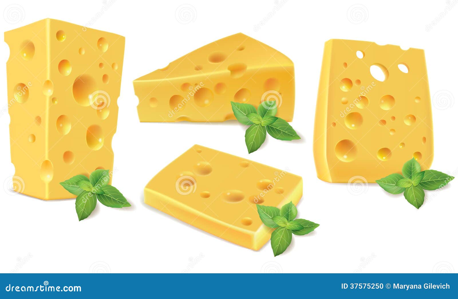 Cheese and basil stock vector. Illustration of leaf, delicatessen ...