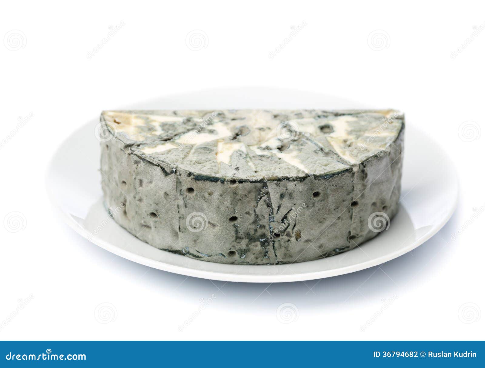 Mold Cheese
