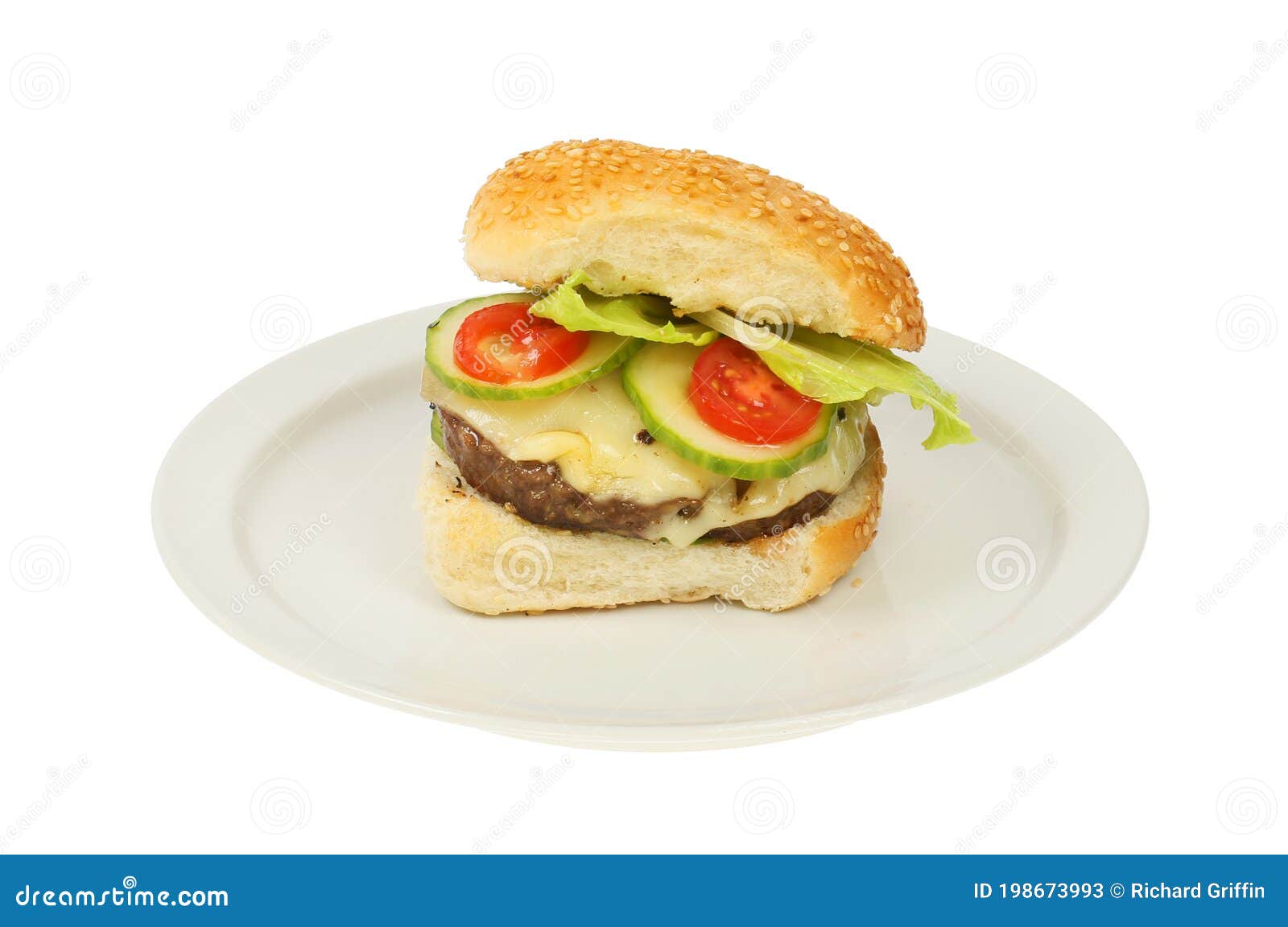 Cheese burger on a plate stock image. Image of salad - 198673993