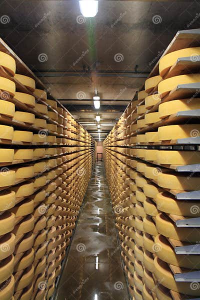 Cheese in Cellar stock image. Image of storeroom, maturation - 6270277