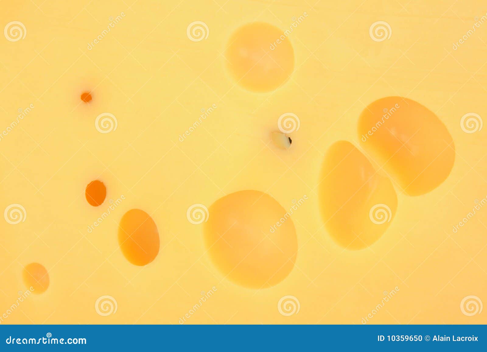 Cheese close up stock photo. Image of casein, cheeses - 10359650