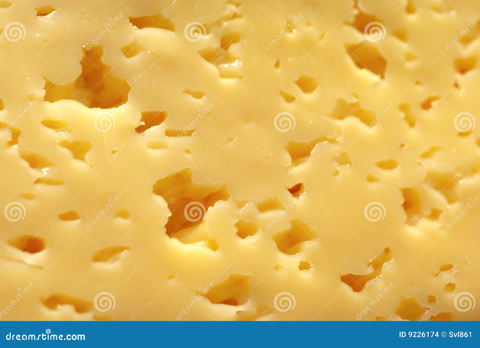 Cheese close-up stock photo. Image of snack, dairy, yellow - 9226174