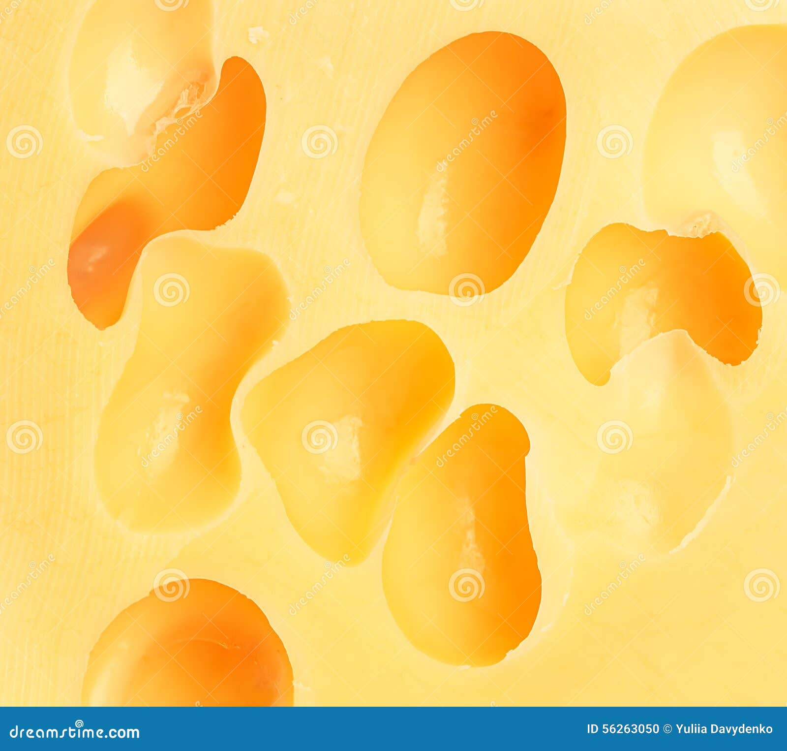 Cheese close-up stock photo. Image of backdrop, frame - 56263050