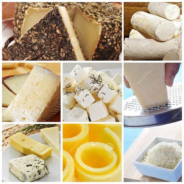 Cheese collage stock photo. Image of collection, meal - 38575248