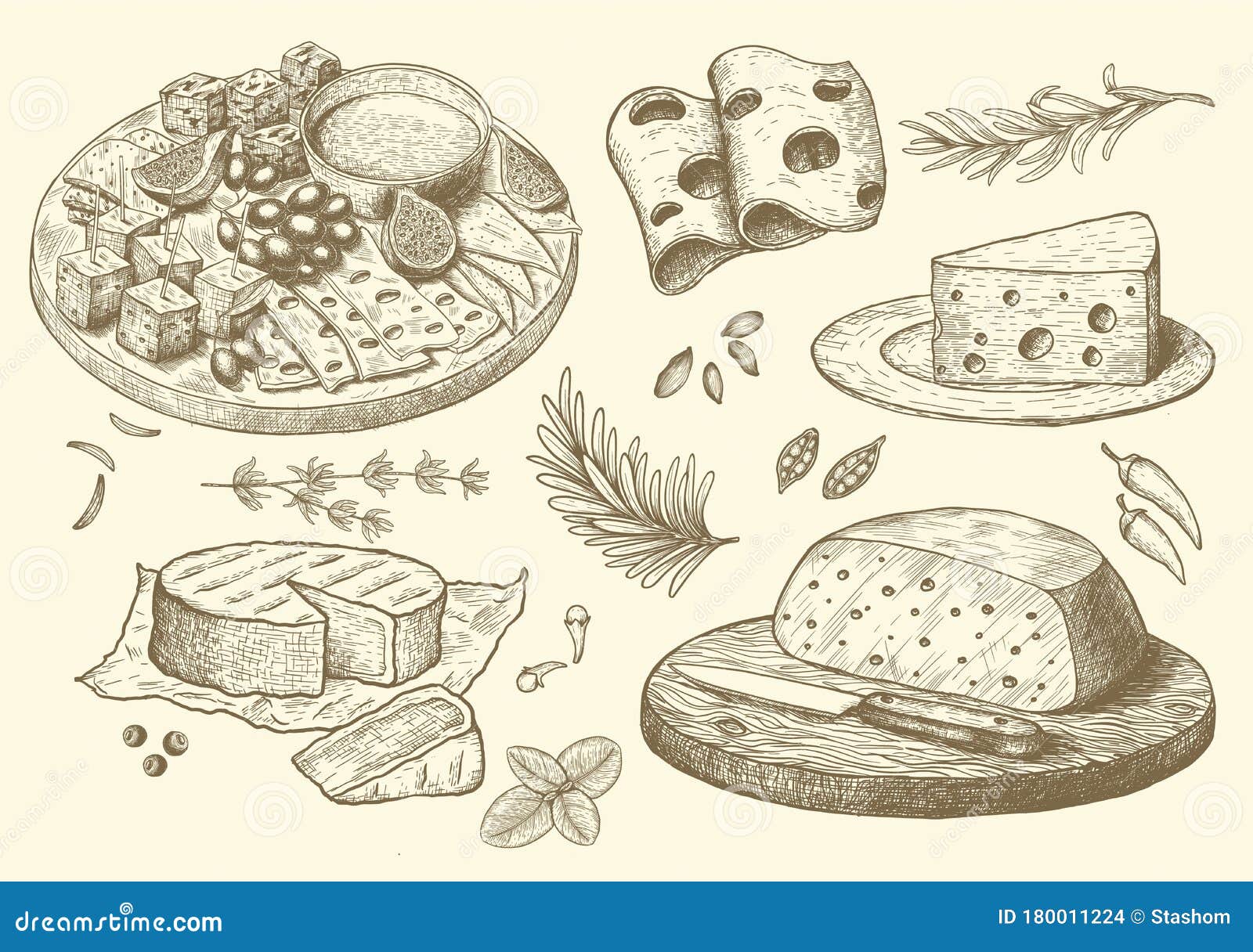 Cheese. Collection of Hand Drawn Engraved Graphic Stock Vector ...