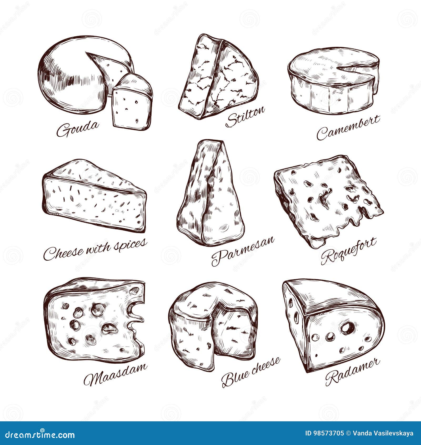 Cheese Collection. Vector Hand Drawn Illustration of Cheese Types Stock ...